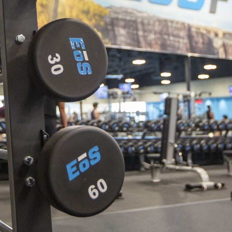 Investment Strategy - BRS